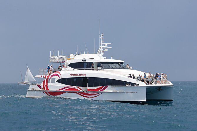 Sydney Whale Watching - 2.5hr Discovery Cruise - Who Will Love This Tour?