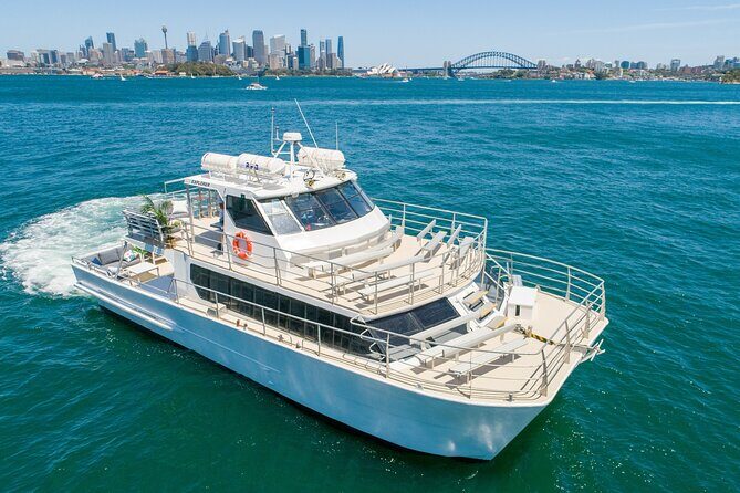 Sydney Whale Watching Adventure Cruise - Key Points