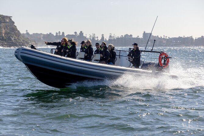 Sydney Whale Watching on Small RIB - Who Will Love This Tour?