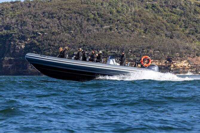 Sydney Whale Watching on Small RIB - Final Thoughts