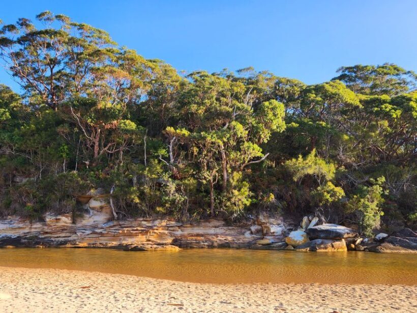 Sydney Woollongong and Kiama tour (Private) - Whats Included and How It Adds Value