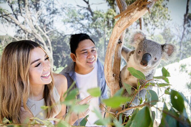 Sydney Zoo General Entry Admission Ticket - Who Will Love Sydney Zoo?