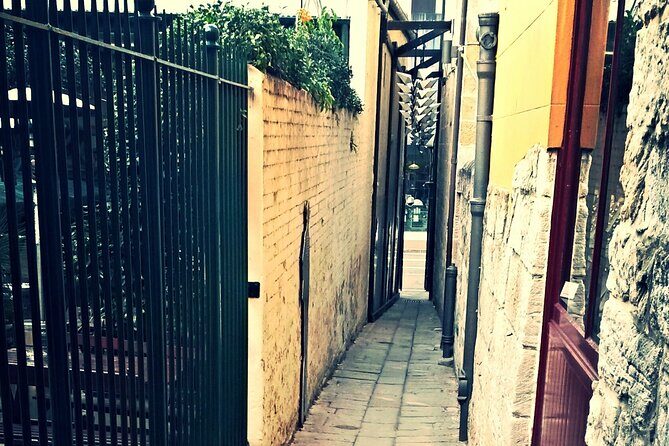 Sydney's Convict and Colonial Past An Evening Walking Tour - The Experience in Detail