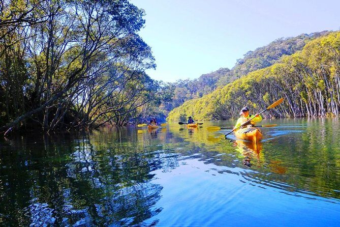 Sydney's Middle Harbour Sea Kayaking Eco Tour (Fully Guided) - An Honest Look at the Experience