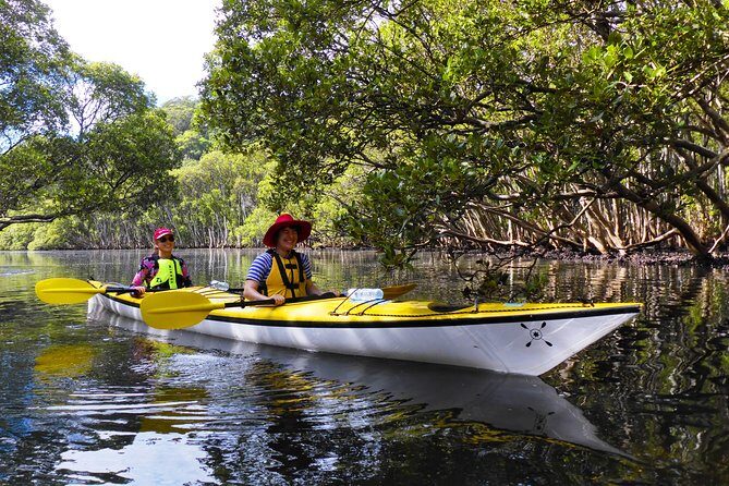 Sydney's Middle Harbour Sea Kayaking Eco Tour (Fully Guided) - Final Thoughts: Is It Worth It?