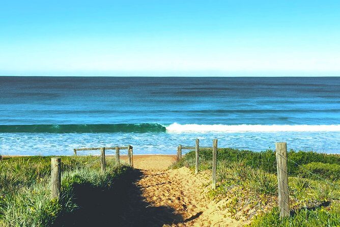Sydney's Northern Beaches & Ku-ring-gai National Park Small Tour departing Manly - Who Should Consider This Tour?