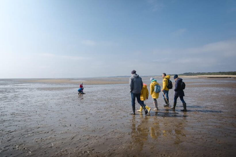 Sylt: Guided Mudflat Hike on the Island - The Sum Up
