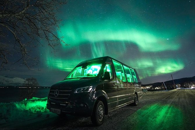 Symphony - Arctic Breeze, Teamining up With Nature. - Embracing the Elements: Thermal Suits and Warm Comforts