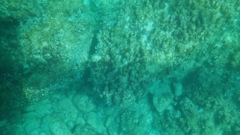 Syracuse: Coast+Sea Caves Full Transparent PRIVATE Boat Tour - What to Expect During the Tour