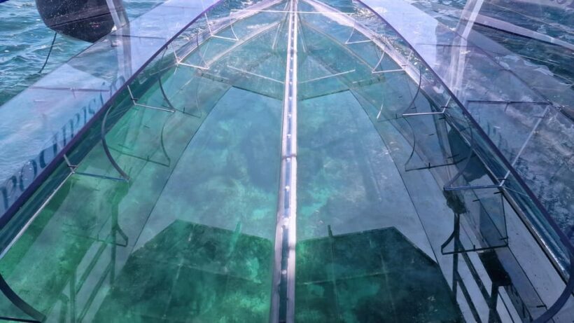 Syracuse: Coast+Sea Caves Full Transparent PRIVATE Boat Tour - Who Should Consider This Tour?