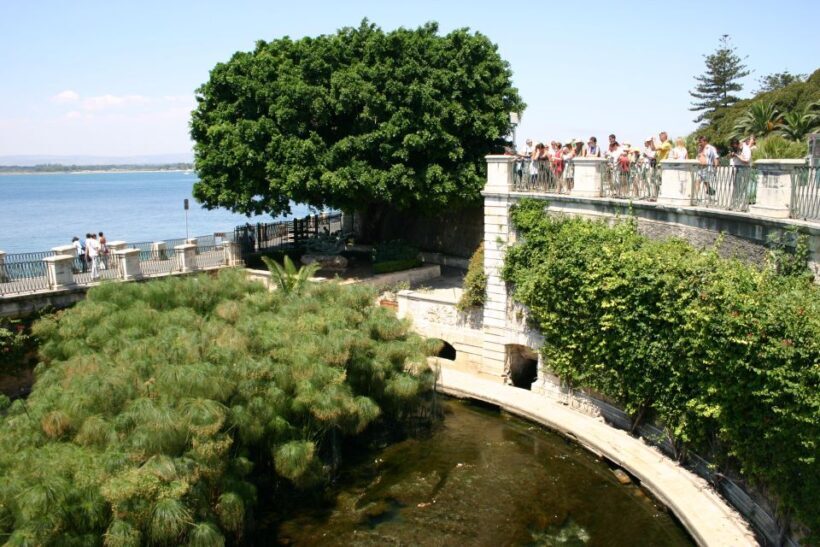 Syracuse: Ortigia Classic Walking Tour - Syracuse: Ortigia Classic Walking Tour — An Authentic Stroll Through History