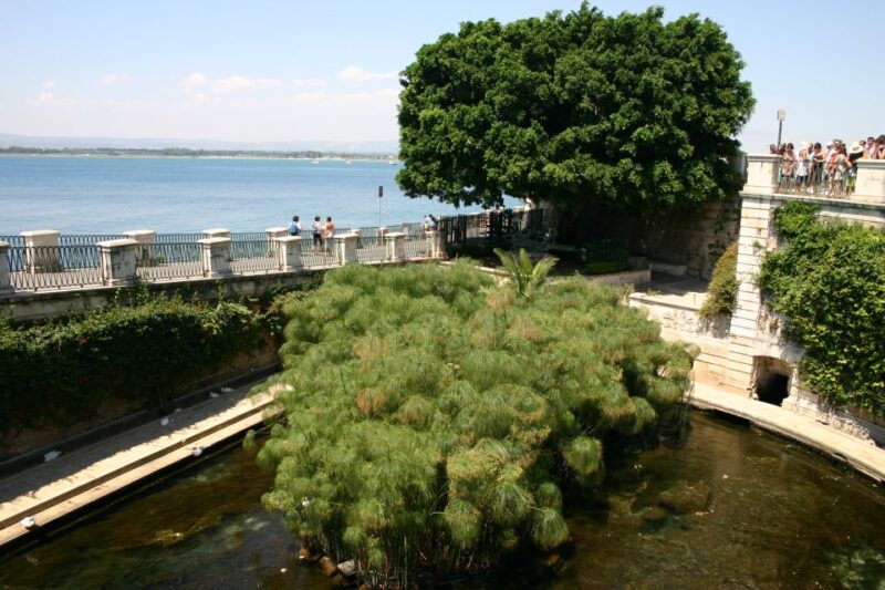 Syracuse: Ortigia Private Walking Tour - Who Should Consider This Tour?