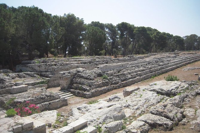 Syracuses Archaeological Park Private Walking Tour - Exploring Neapolis Archaeological Park