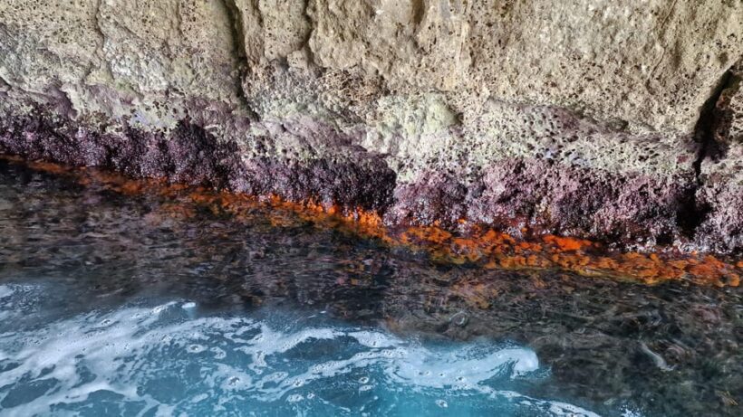 Syracuse:Snorkeling+Pillirina, Ortigia & sea caves boat tour - Onboard Comfort and Entertainment