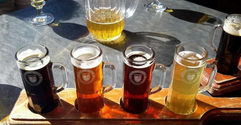 Szczecin Polish Beer and Food Tasting Private Tour - An Introduction to Szczecin’s Beer Culture