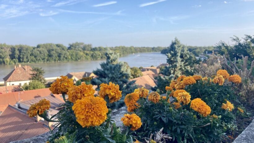 Szentendre: Arts and Cafés Tour (Half-Day Private Tour) - Key Points