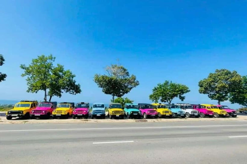 Ta Cu Mountain Tour and Phan Thiet Sightseeing (haft day) - Final Thoughts