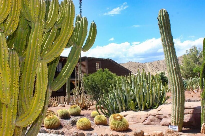 Tabernas: MiniHollywood Oasys Entry Ticket & Optional Buffet - Value and Practical Considerations