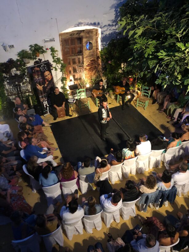 Tablao Flamenco La Puerta Ancha entrance ticket - An Overview of La Puerta Ancha Flamenco Experience