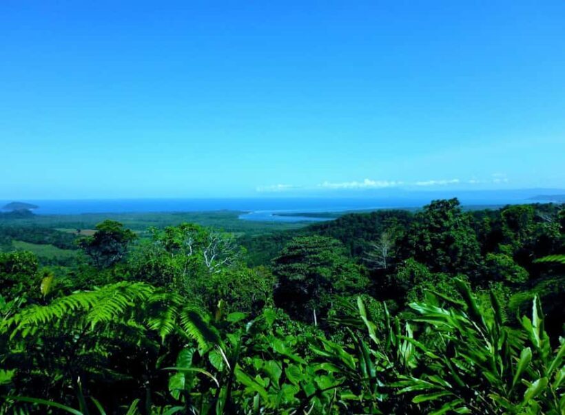 Tablelands Sights & Daintree Rainforest - Key Points