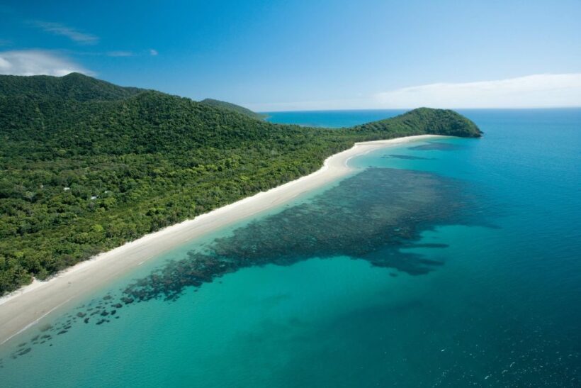 Tablelands Sights & Daintree Rainforest - What Makes This Tour Stand Out