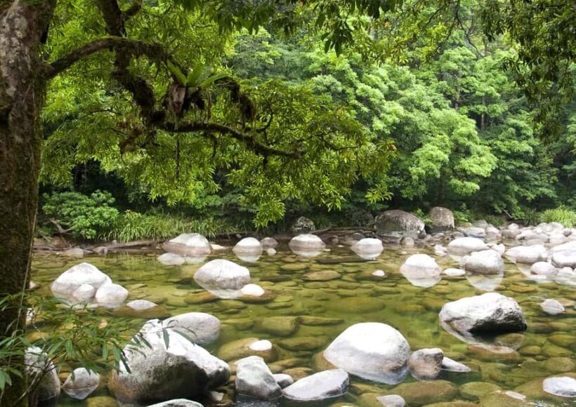 Tablelands Sights & Daintree Rainforest - FAQ