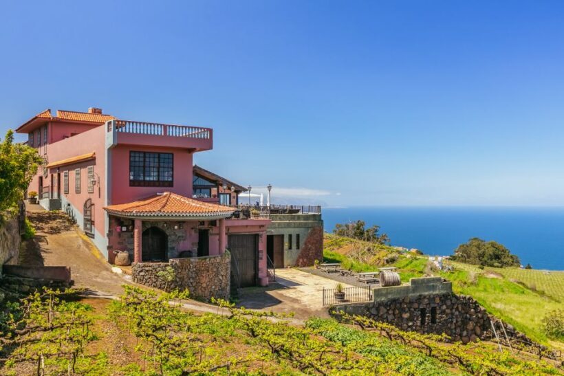 Tacoronte: Guided Winery Tour with Wine and Cheese Tastings - Key Points