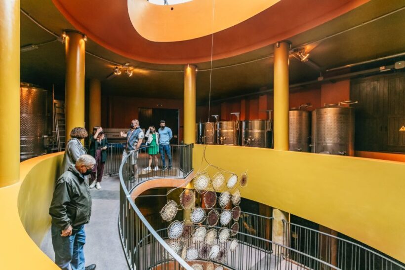 Tacoronte: Guided Winery Tour with Wine and Cheese Tastings - The Sum Up