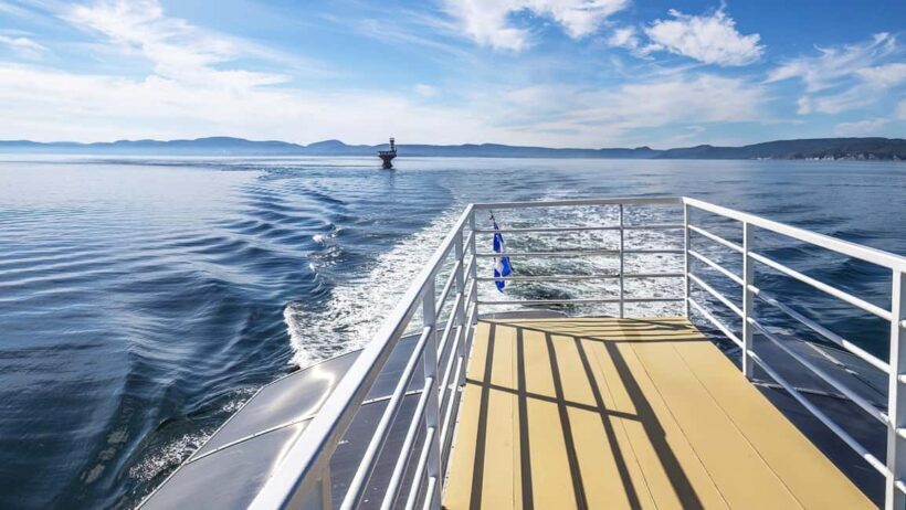 Tadoussac/Charlevoix: VIP Lounge OR UpperDeck Whale Watching - Authentic Reviews: What Travelers Say