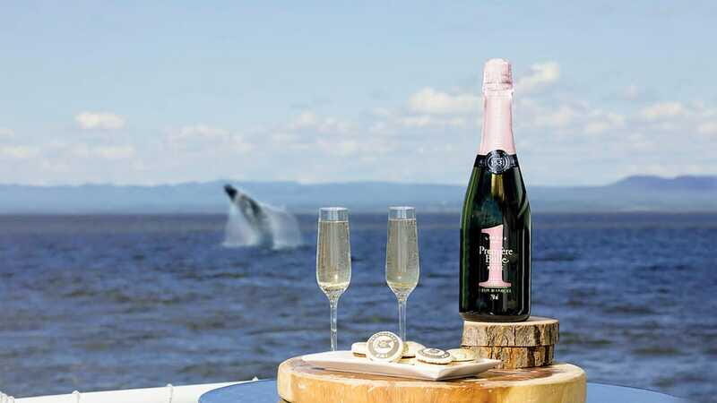 Tadoussac/Charlevoix: VIP Lounge OR UpperDeck Whale Watching - Who Should Consider This Tour?