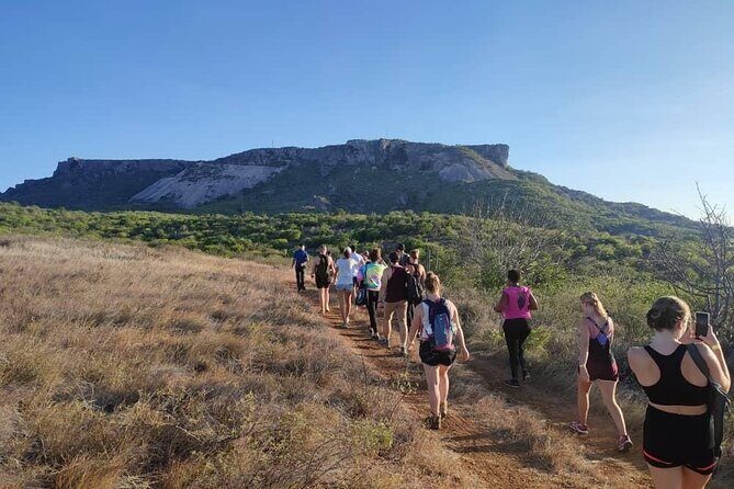 Tafelberg Hiking Experience - FAQ: Your Questions About the Tafelberg Hiking Experience