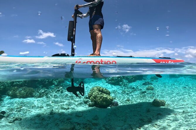 Tahaa Excursion in Electric Paddle Snorkeling Coral Garden - The Sum Up: Why Choose This Tour?