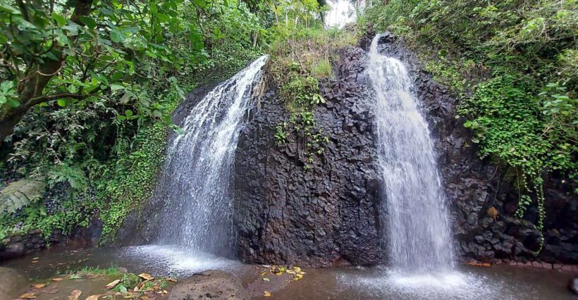 Tahiti Classical Coastal Full Day Private Tour - A Closer Look at the Tahiti Coastal Private Tour