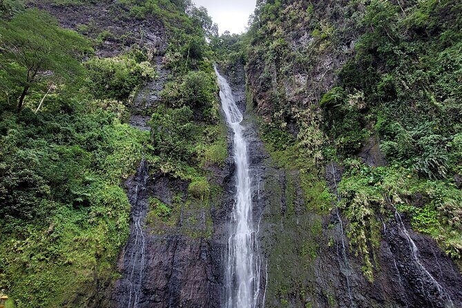 Tahiti Fautaua Valley and Big Waterfall Private Hiking Tour - What Makes This Tour Stand Out
