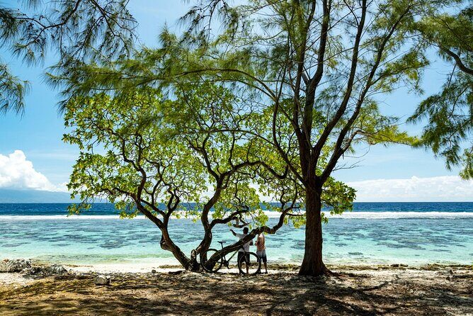 Tahiti Half Day Coastal Private Tour - FAQs