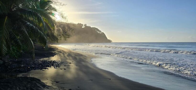 Tahiti: Northeast Coast Waterfalls&Viewpoints Half Day Tour - What It’s Like to Experience This Tour