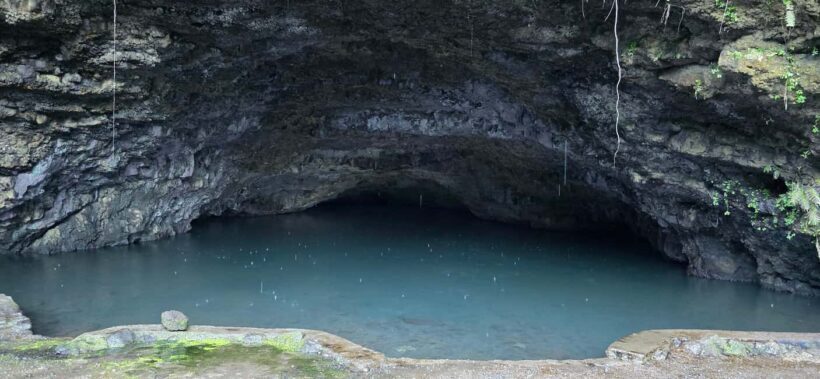 Tahiti: Private Half Day Culture and Nature Highlights Tour - Practical Details and Value