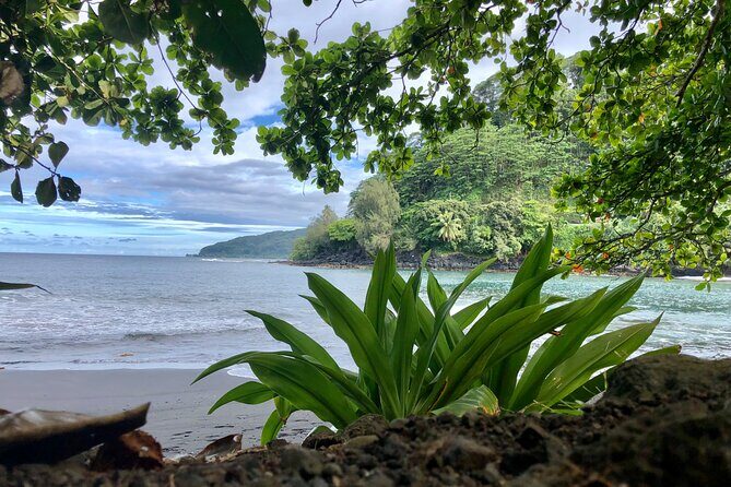 Tahiti: Tour of the East or West Coast (Half Day) - Why This Tour Works Well