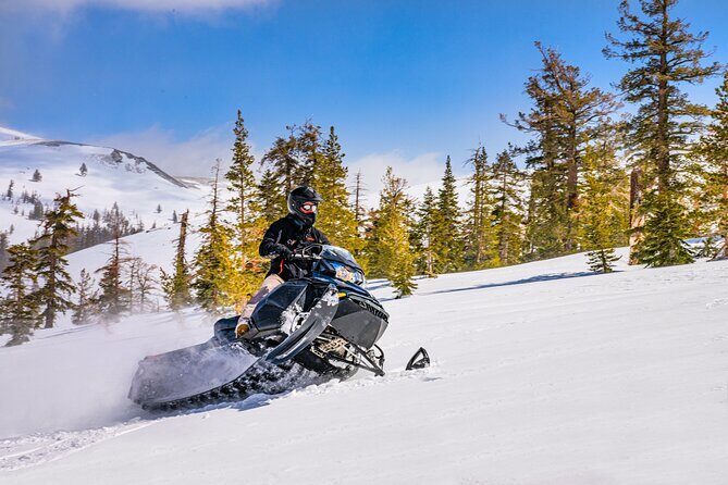 Tahoe Snowmobiling Tours - A Closer Look at Tahoe Snowmobiling Tours