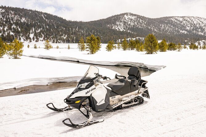 Tahoe Snowmobiling Tours - Authentic Experiences and Honest Feedback