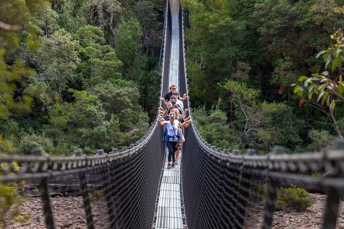 Tahune Airwalk & Hastings Cave Active Day Tour from Hobart - An Immersive Day in Tasmania’s Wilderness