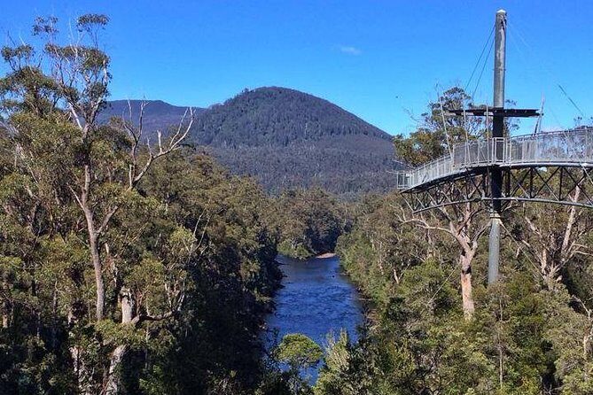 Tahune Airwalk & Hastings Cave Active Day Tour from Hobart - Conclusions