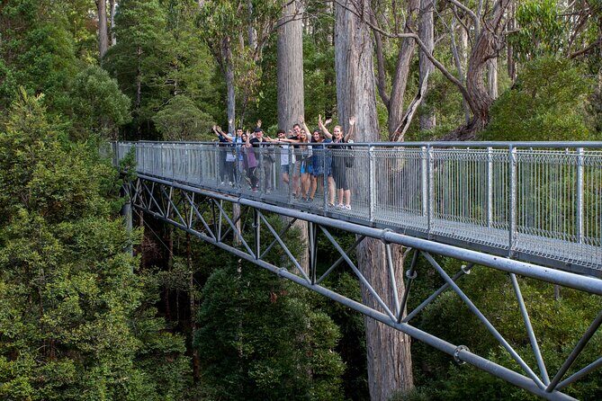 Tahune Airwalk & Hastings Cave Active Day Tour from Hobart - FAQ
