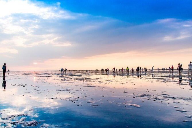 Taichung Art and Culture Tour - Key Points