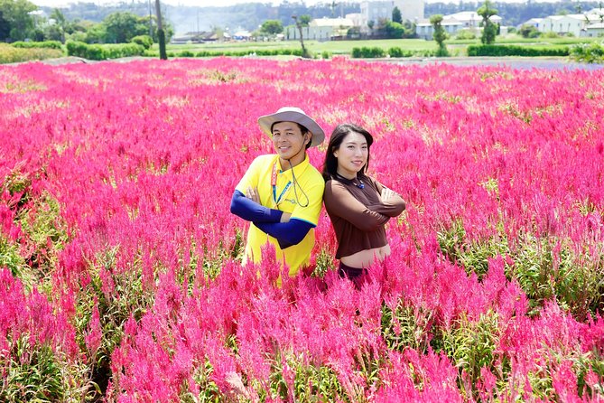 Taichung Must-Visit Join In Day Tour from Taipei - What’s Included and What’s Not