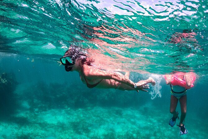 Taiguey Emotion Show - Key Points