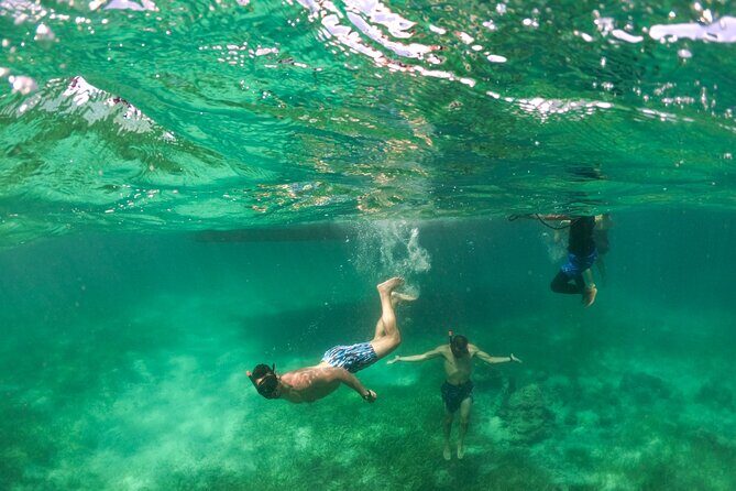 Taiguey Emotion Show - Wrapping Up