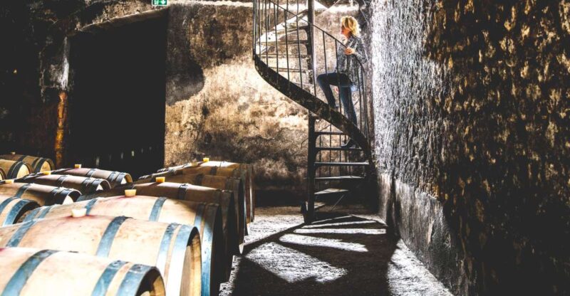 Taillan-Médoc: Château Visit and Wine Tasting in Bordeaux - Exploring the Charm of Taillan-Médoc: Château Visit and Wine Tasting