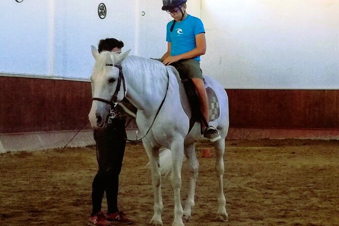 Tailor Made Full Day Private Guided Tour with Vehicle in Lisbon - Authentic Reviews and Insights