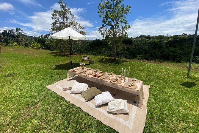 Tailor Made Luxury Picnic with Breathtaking Views - Who Should Consider This Tour?